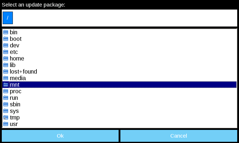 Runtime Installation
